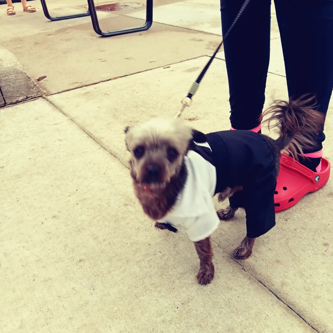 GALLERY – Burlington Flag Force